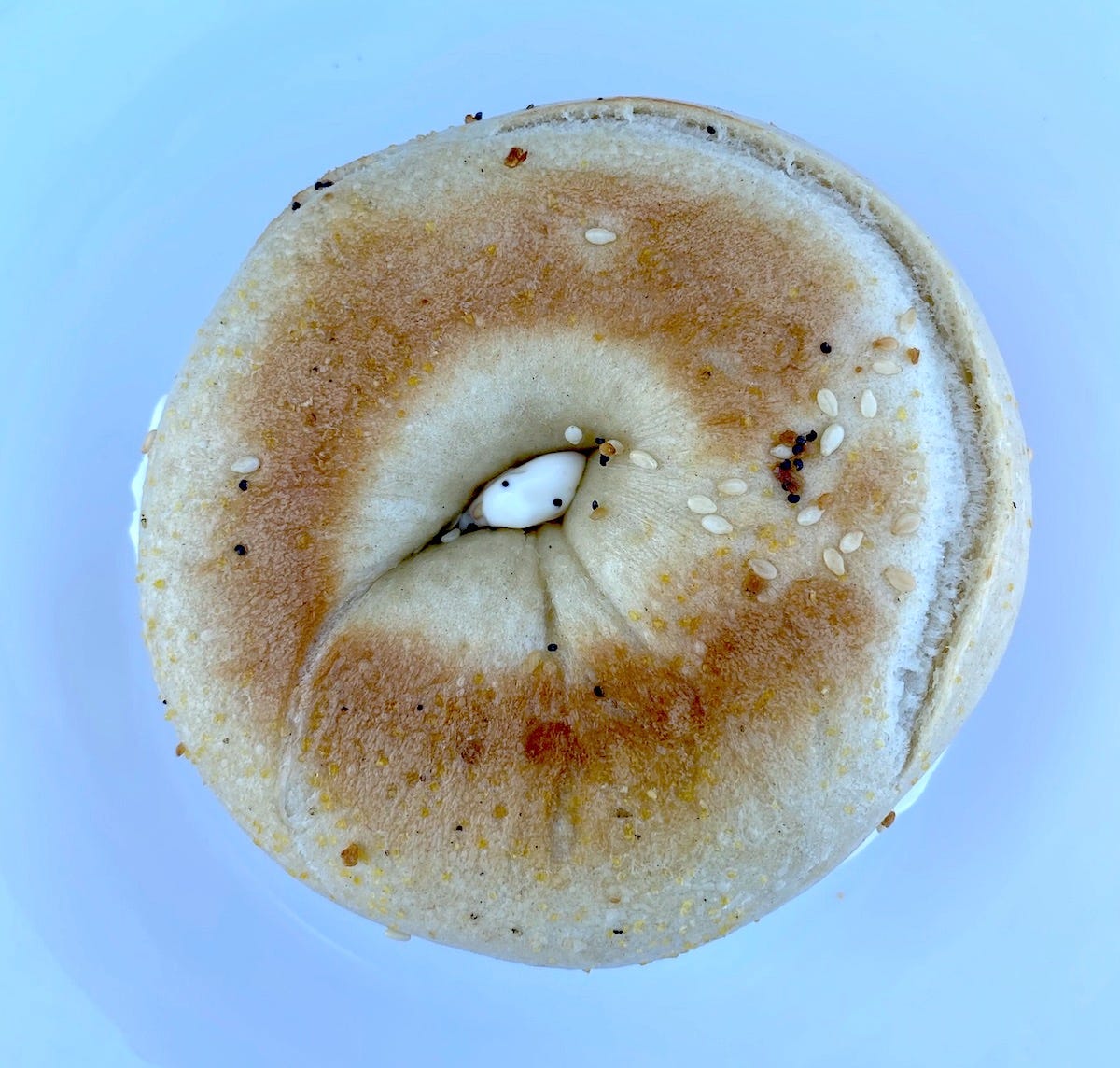 Can I get a good Seattle bagel at... Bruchelle's Bagel Bistro