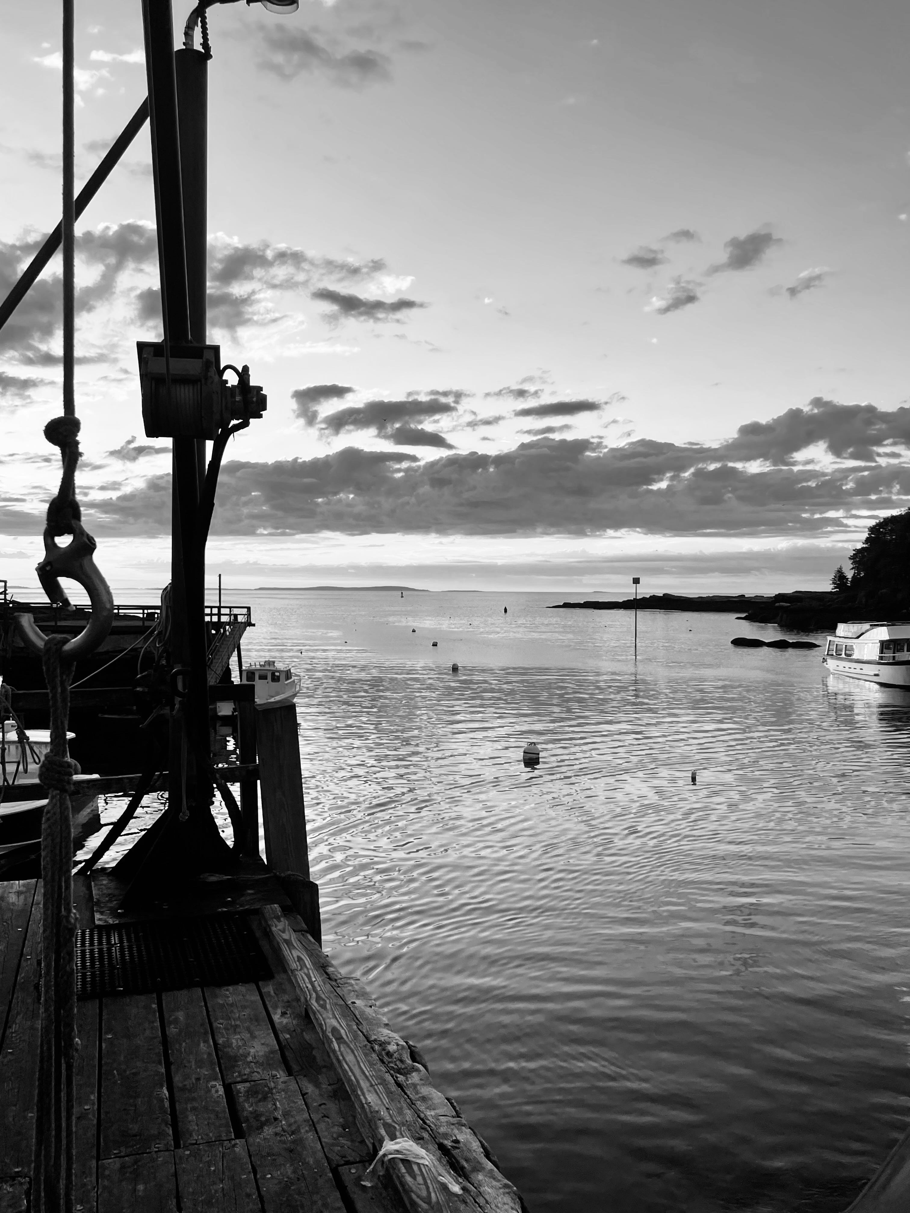 Deep Blue Ocean: - by Sadie Stone - Sadie’s Substack