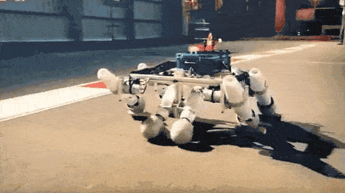 #14: Vibrator* Racing - The Kyote