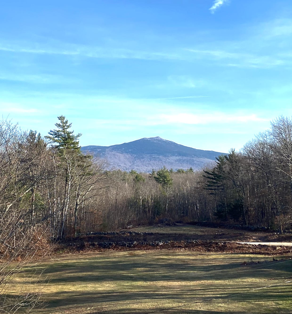 Lucas Moore | Substack