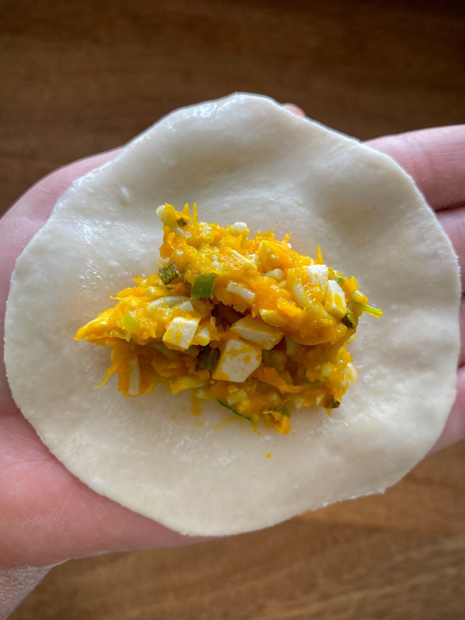 Dumpling Season - by Michelle Albanes-Davis