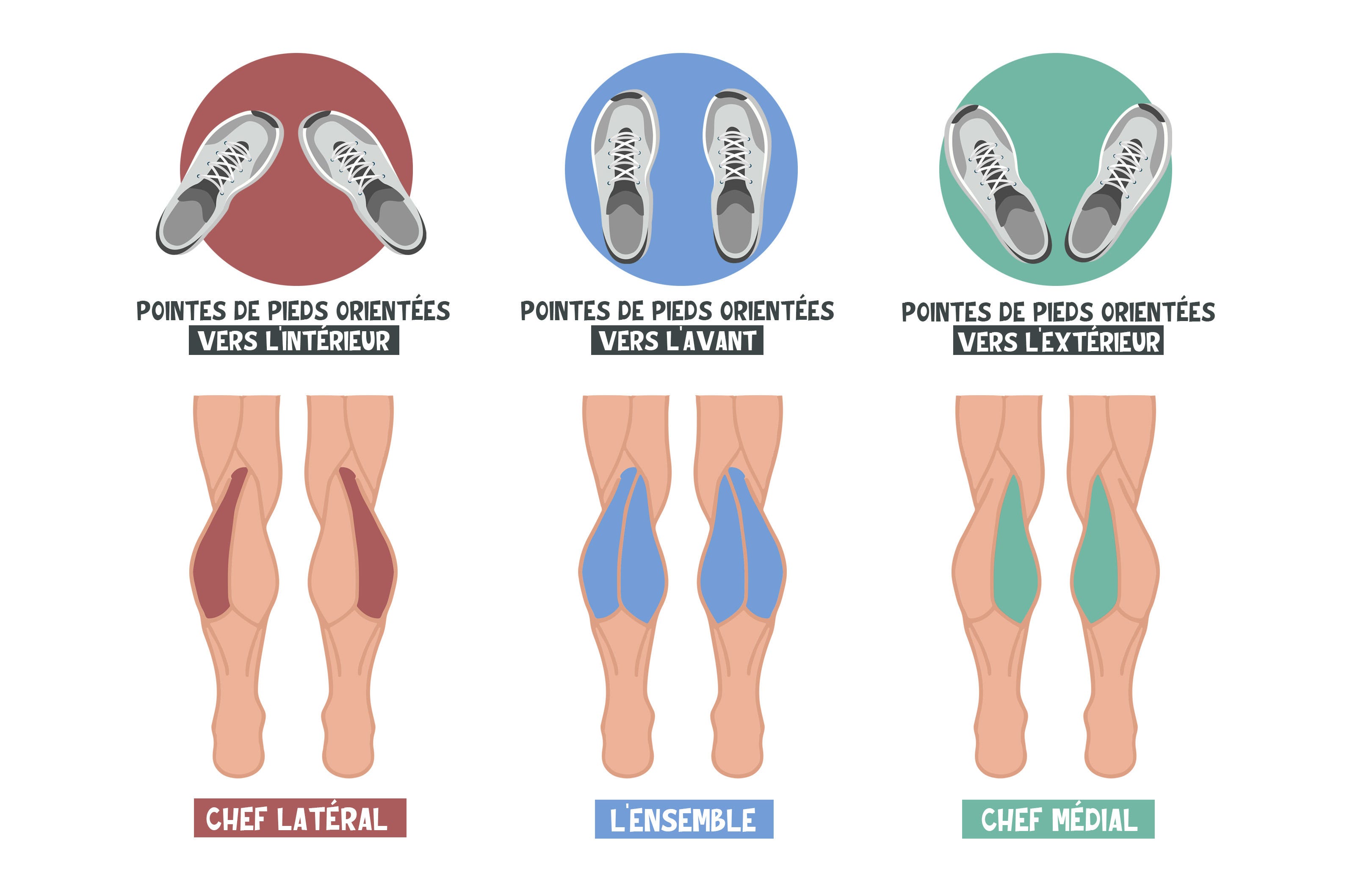 Des mollets d'acier : force, endurance et esthétique