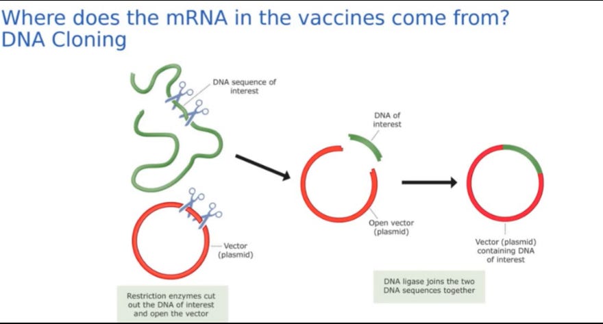Reckless DNA contamination of C19 mRNA injections may cause ...