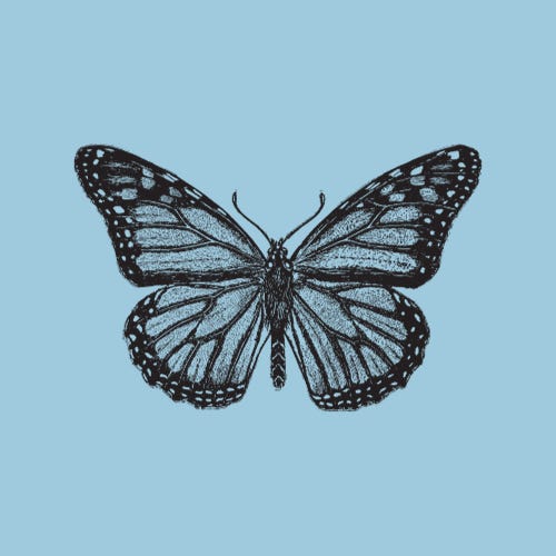 So long, Substack - by Hanna Raskin - The Food Section