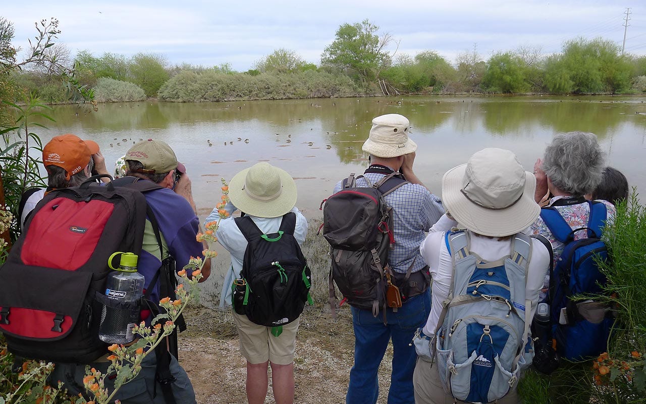 THE CLASSROOM - by Bryan Pfeiffer - Chasing Nature
