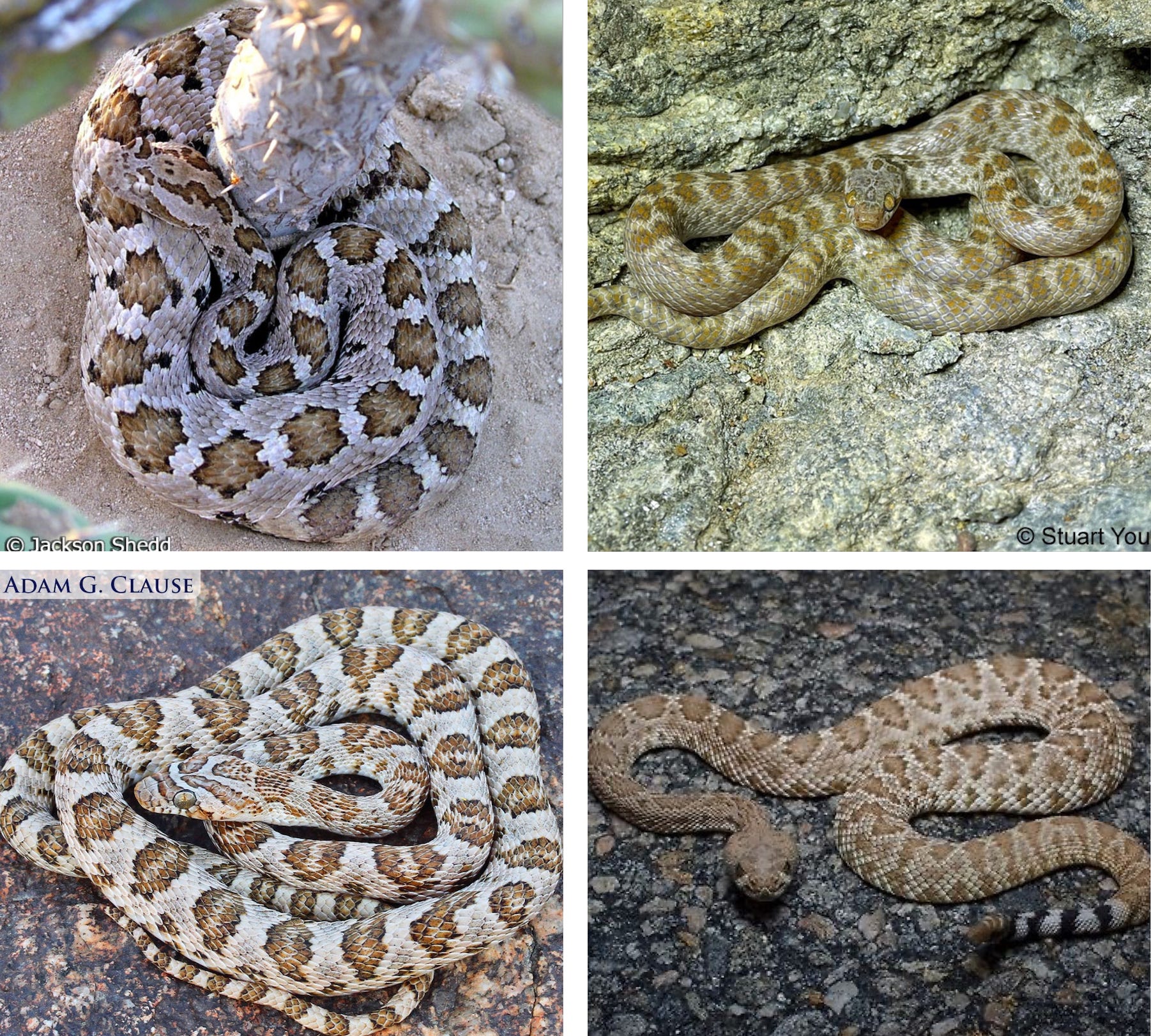 🌅 The Ventana View (22 mayo) - The Ventana View