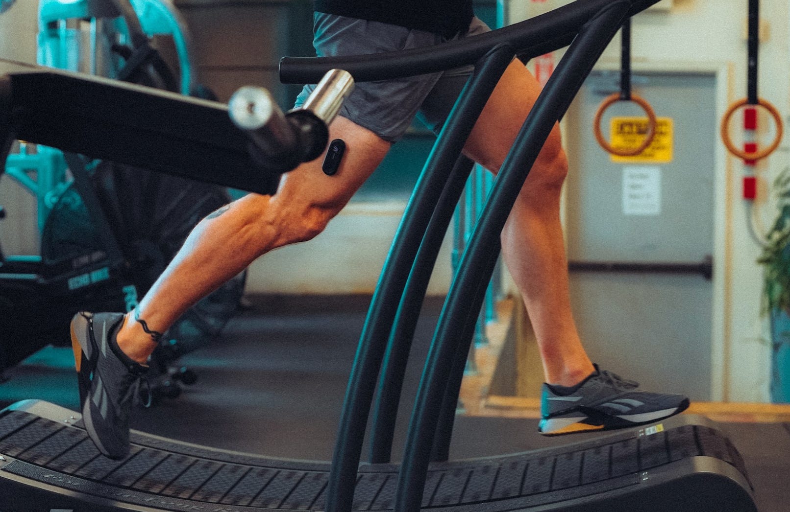 Metabolic Adaptations To Exercise