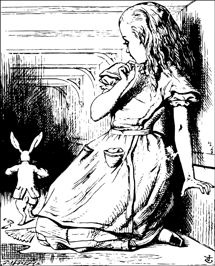 Alice's Adventures in Wonderland: Chapter 2
