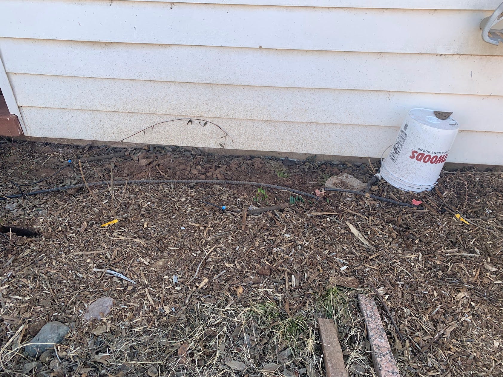 False Spring - by Cedar Sanderson - Cedar’s Substack