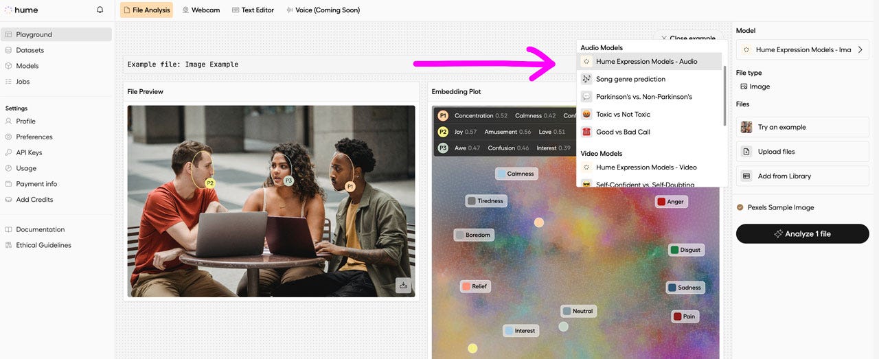 Hume AI Empathic Voice Interface. Why do we need AI to feel things?