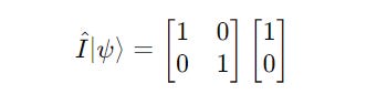 An Introduction To Bra-Ket (Dirac) Notation