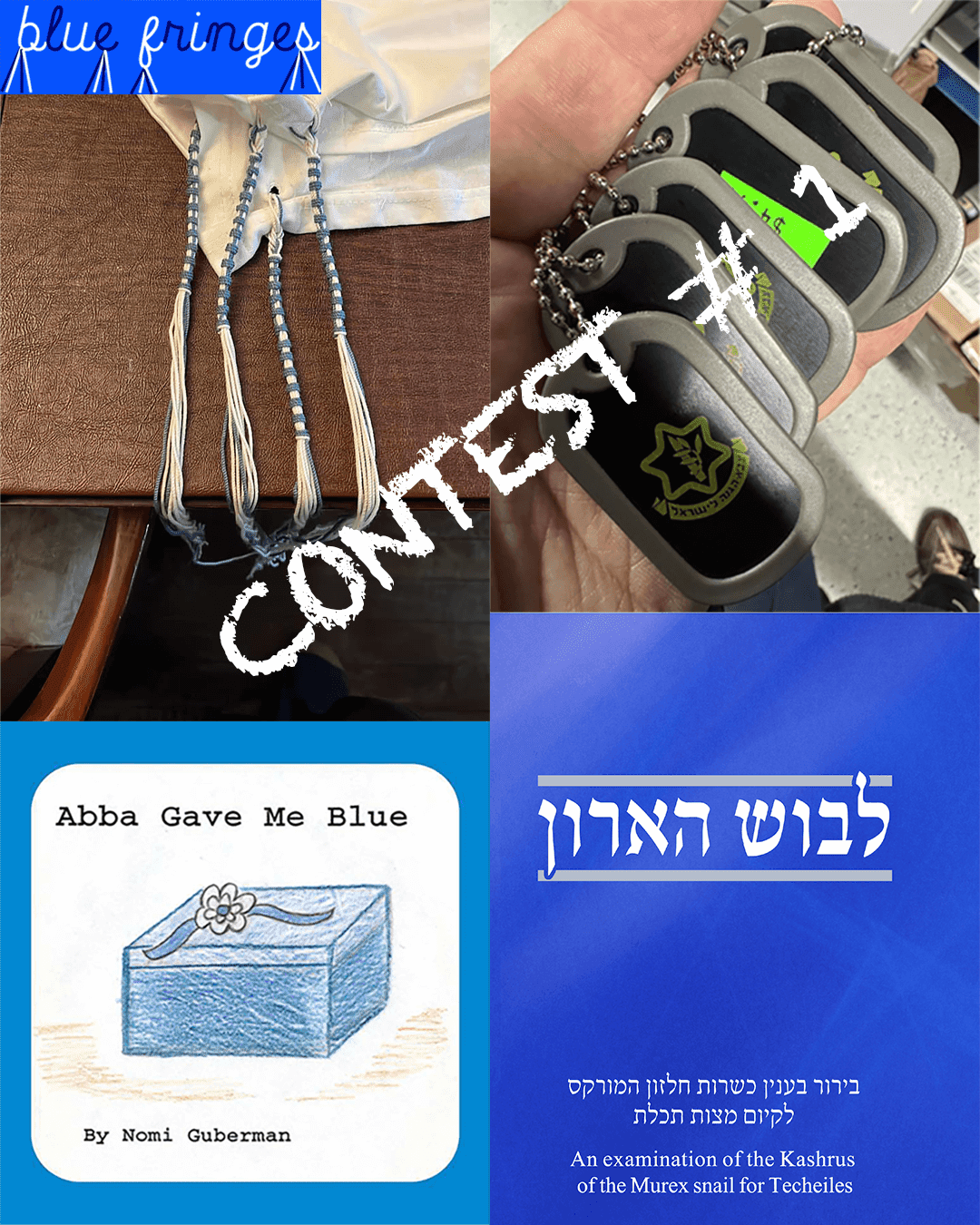 Blue Fringes Techeiles Contest - by Ash - Not Daas Torah