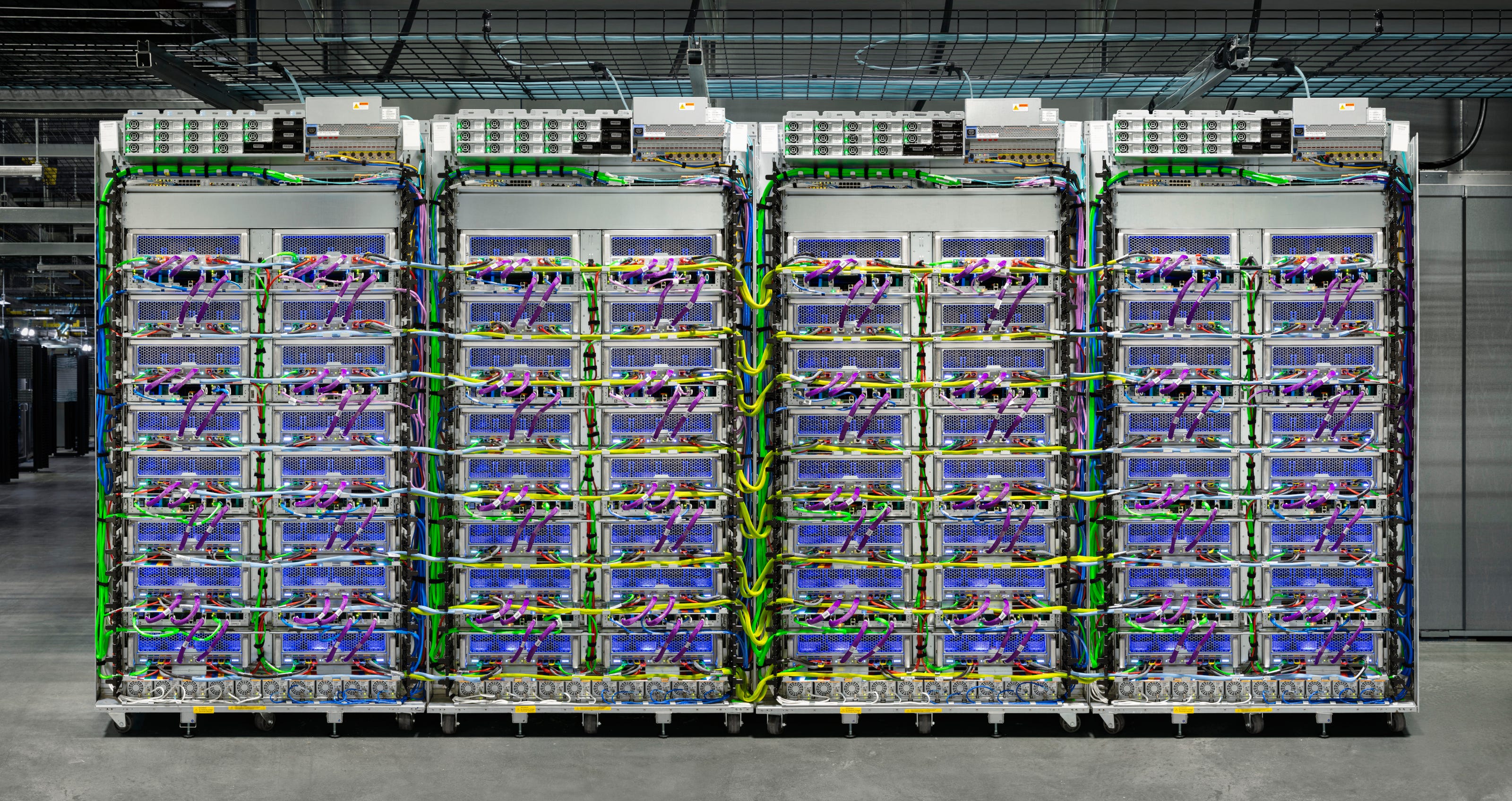 TPUv5e: The New Benchmark in Cost-Efficient Inference and Training for