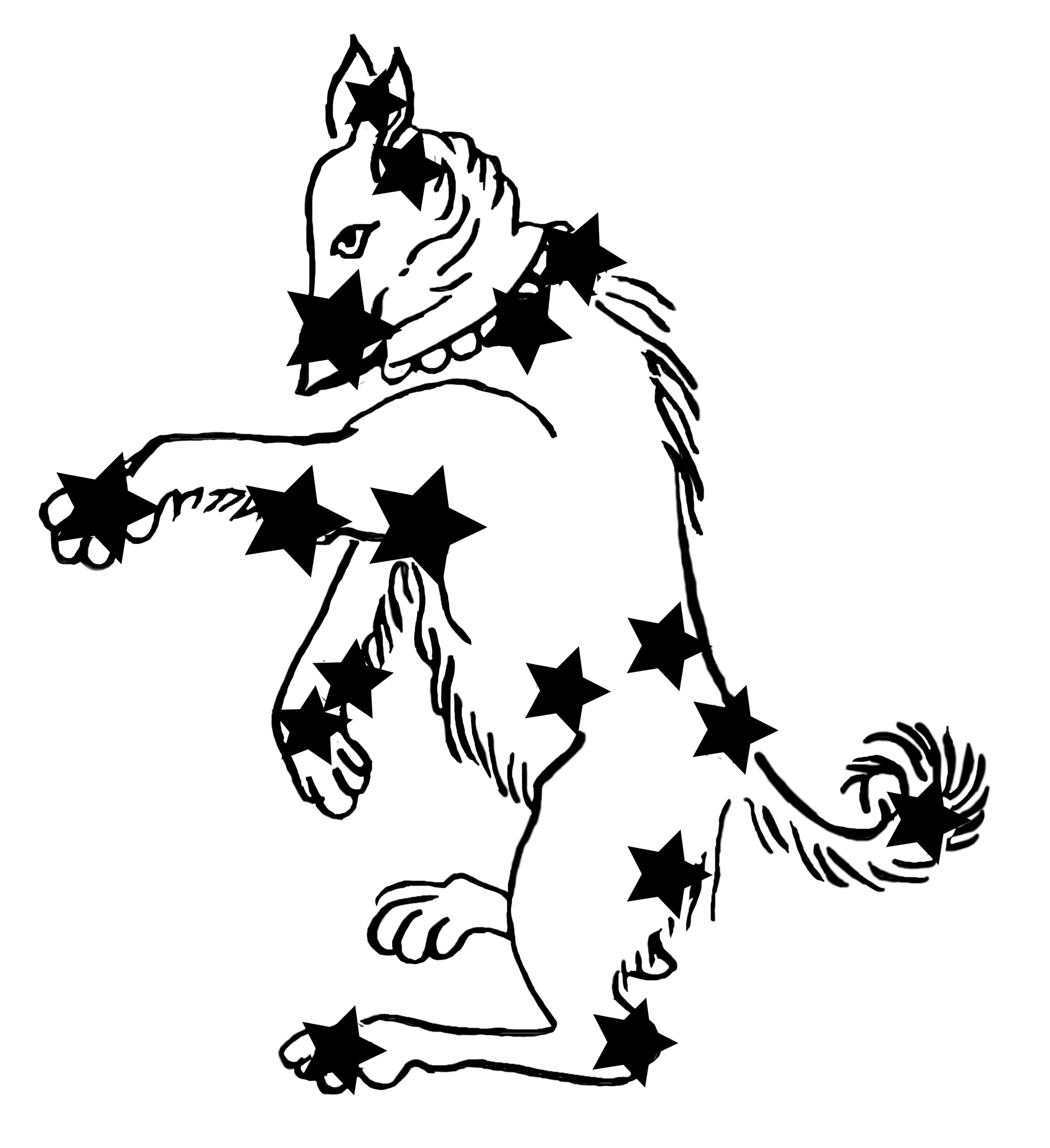 Fatima Bhutto | Substack