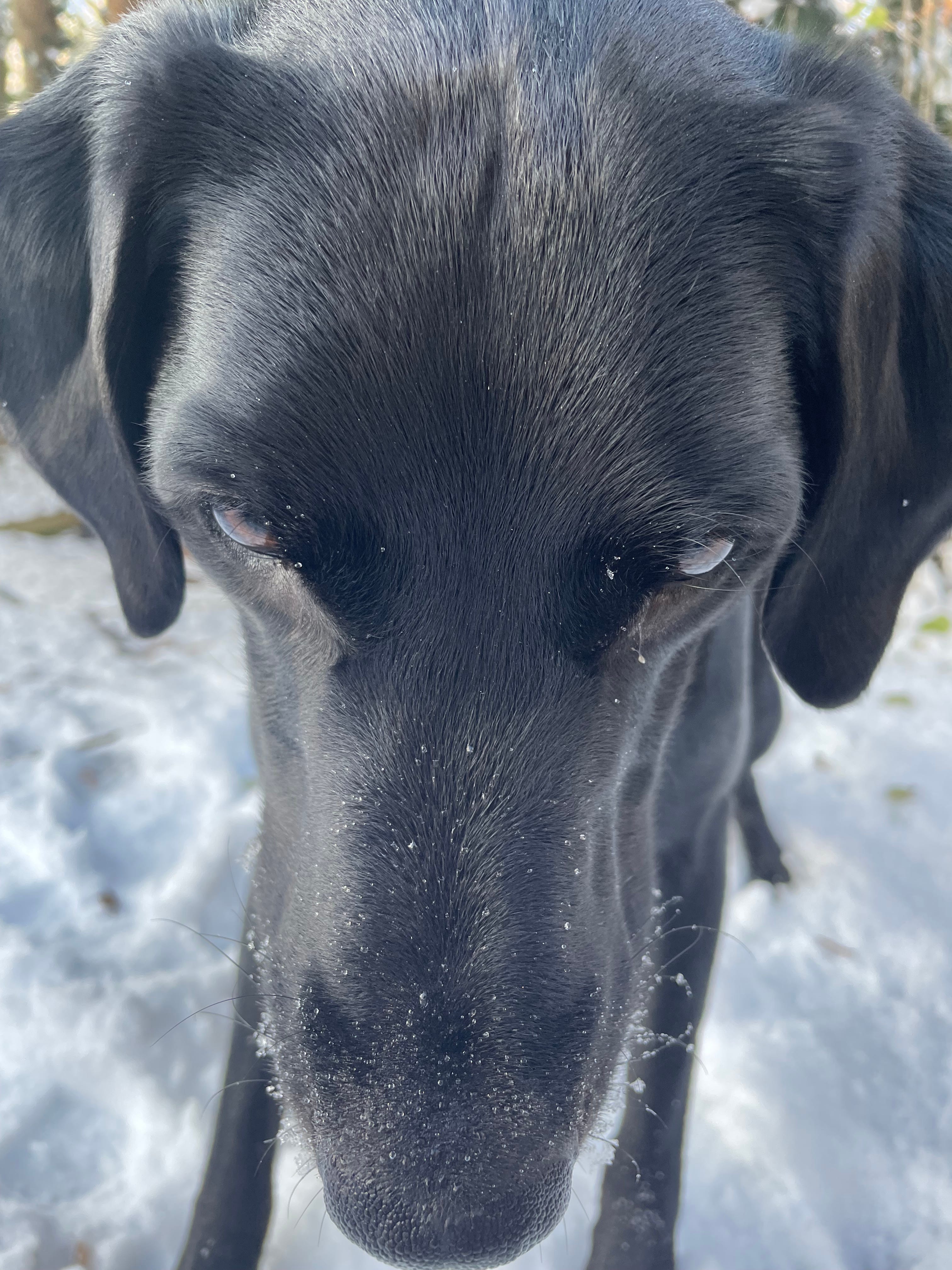 Thank you all for staying and persevering…. - by Jo Linney