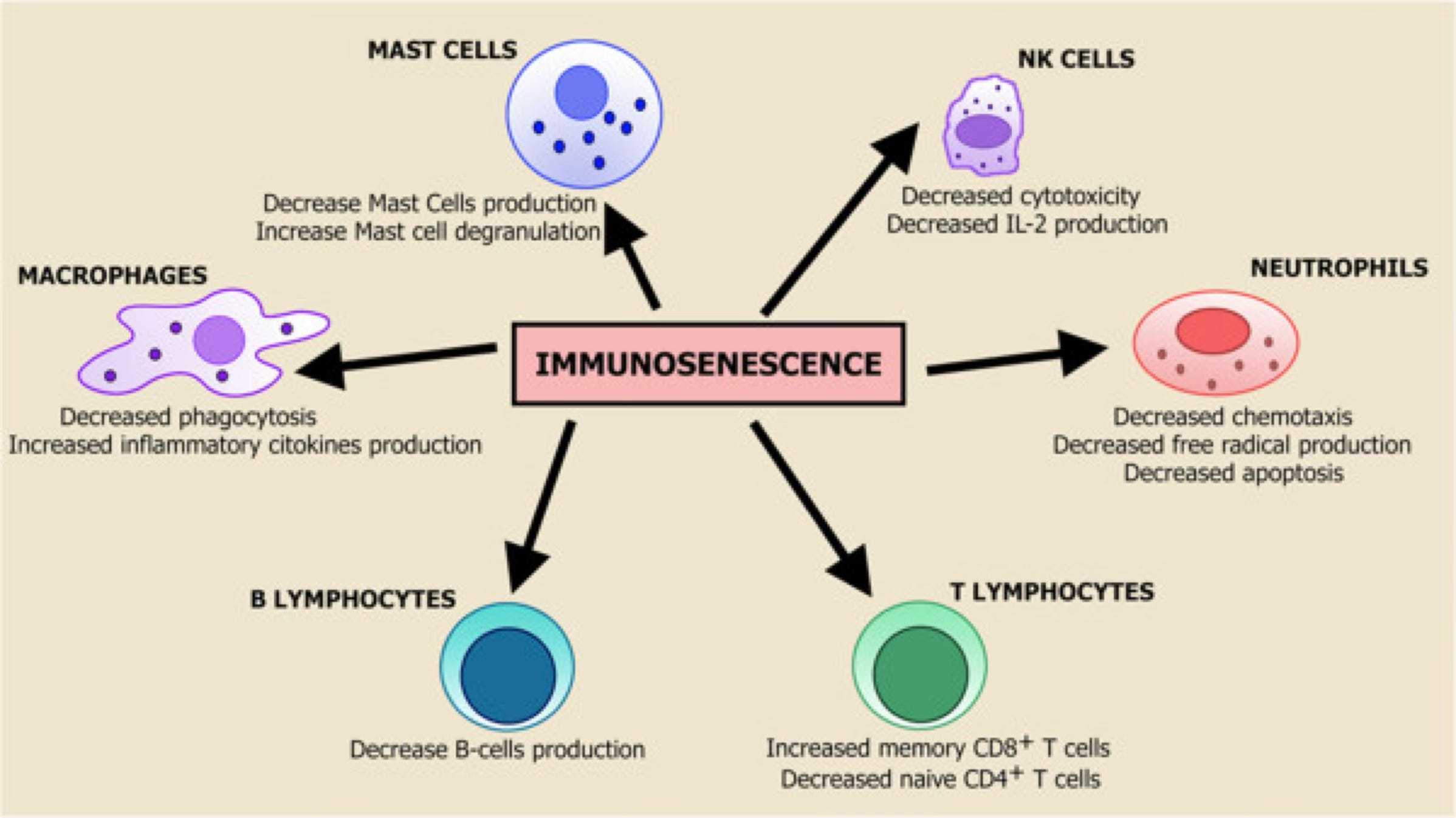 The Future of Longevity: 10 Breakthroughs Redefining How We Age