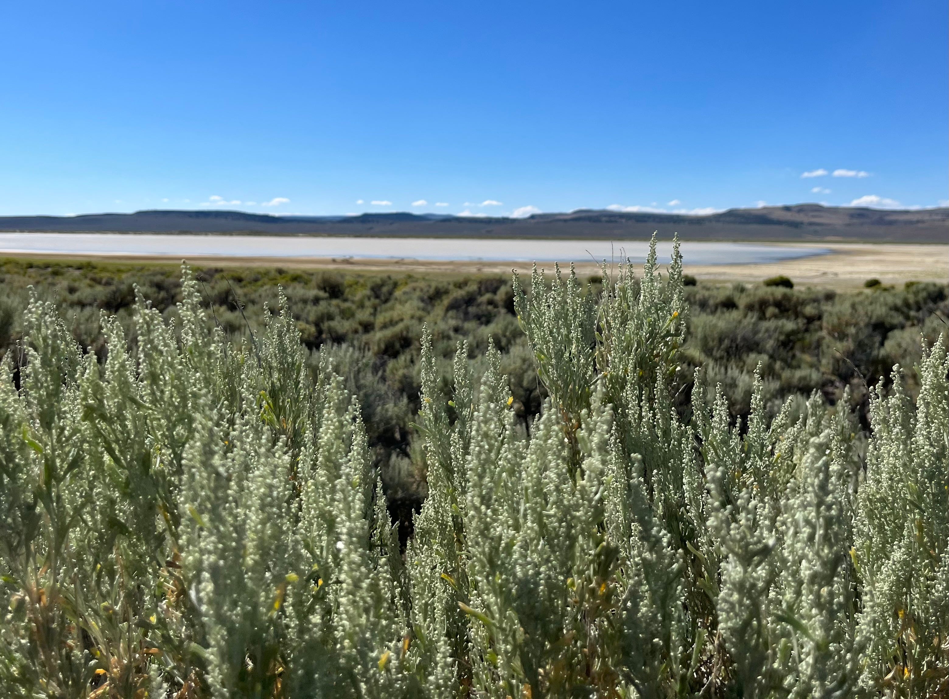 Wrapped in history and time - by Daniel Rothberg