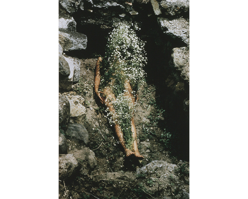 Ana Mendieta When Life Imitates Art