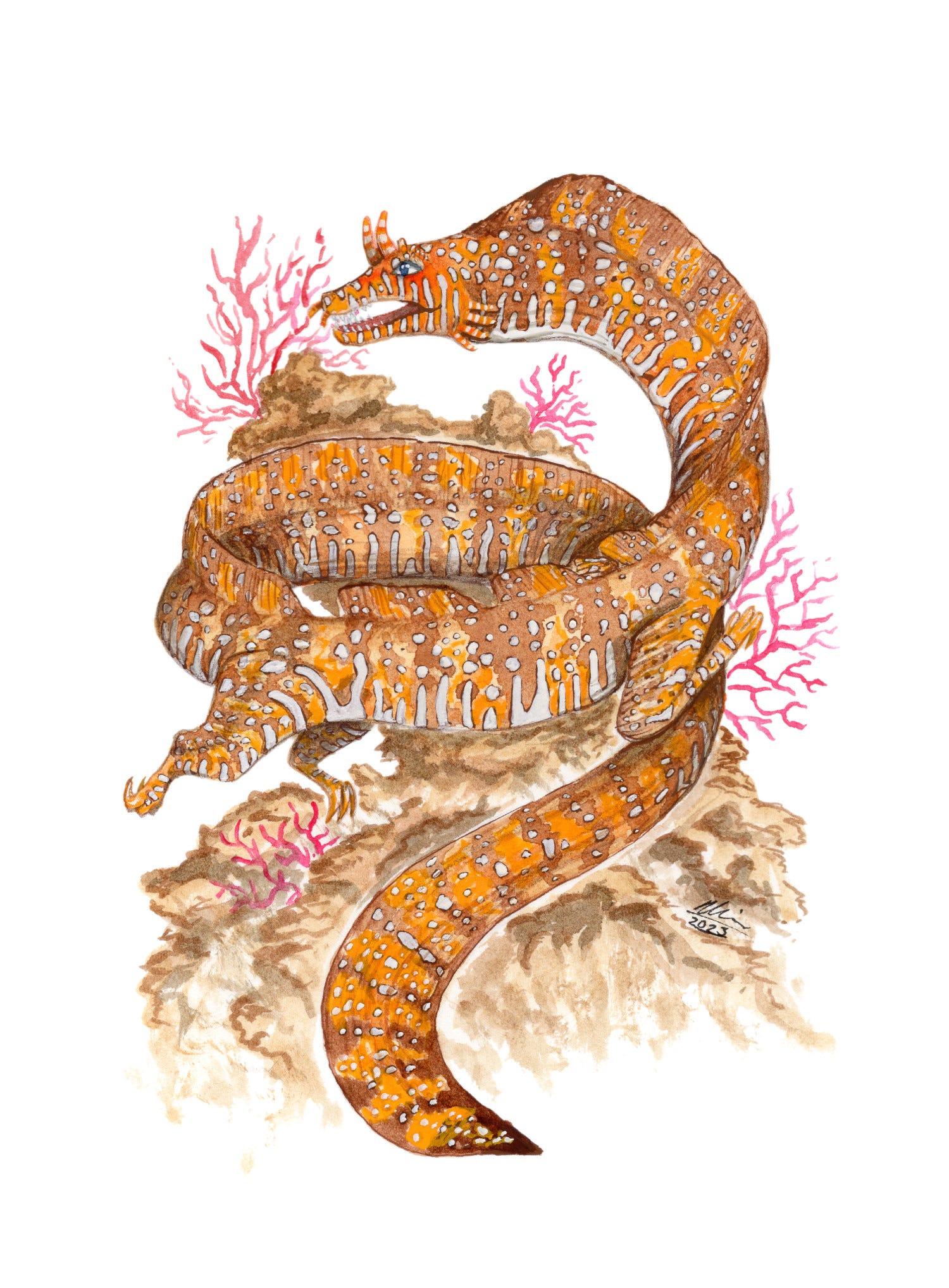 The Dragon Moray Eel Dragon - by Giddy Minnow