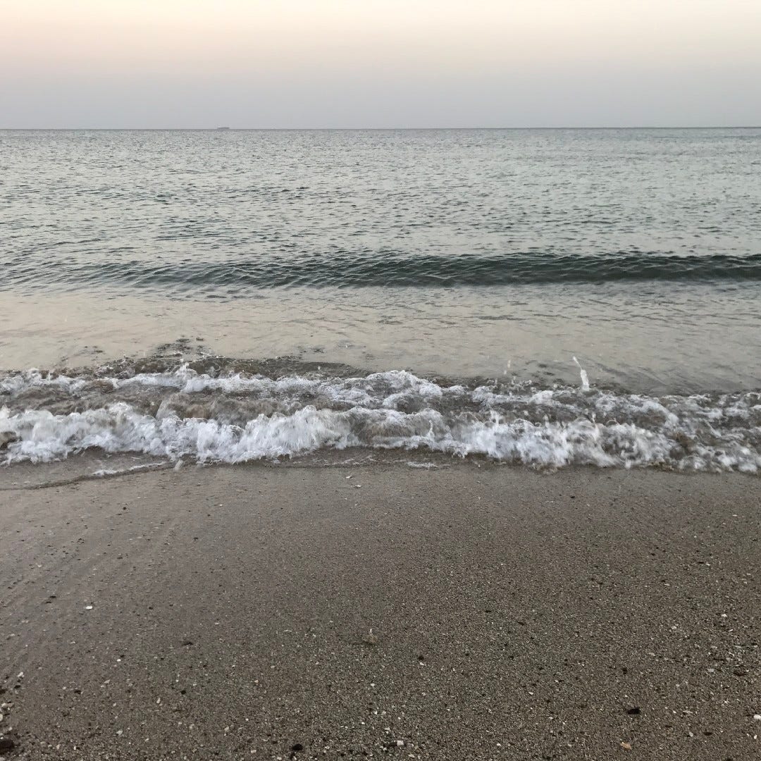 Ayesha A. | Substack