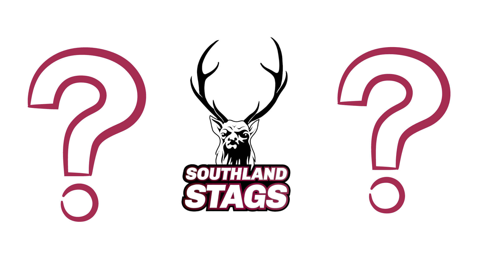 Position-by-position: How the Stags squad is shaping up