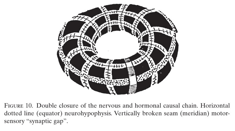 On Incommensurability of First order and Second order Cybernetics