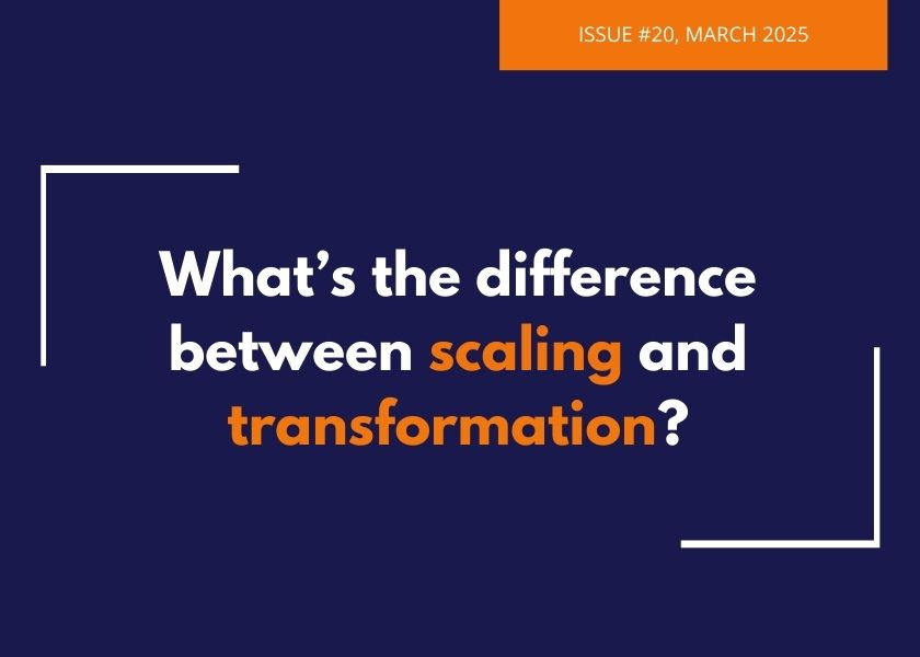 What’s The Difference Between Scaling and Transformation?