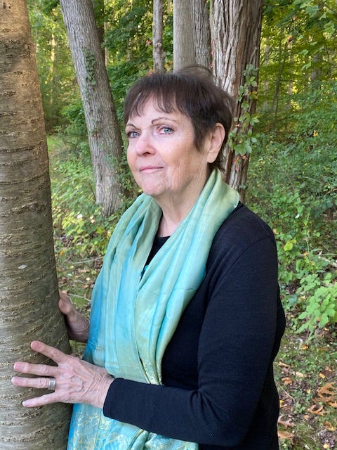 Story Carrier | Substack