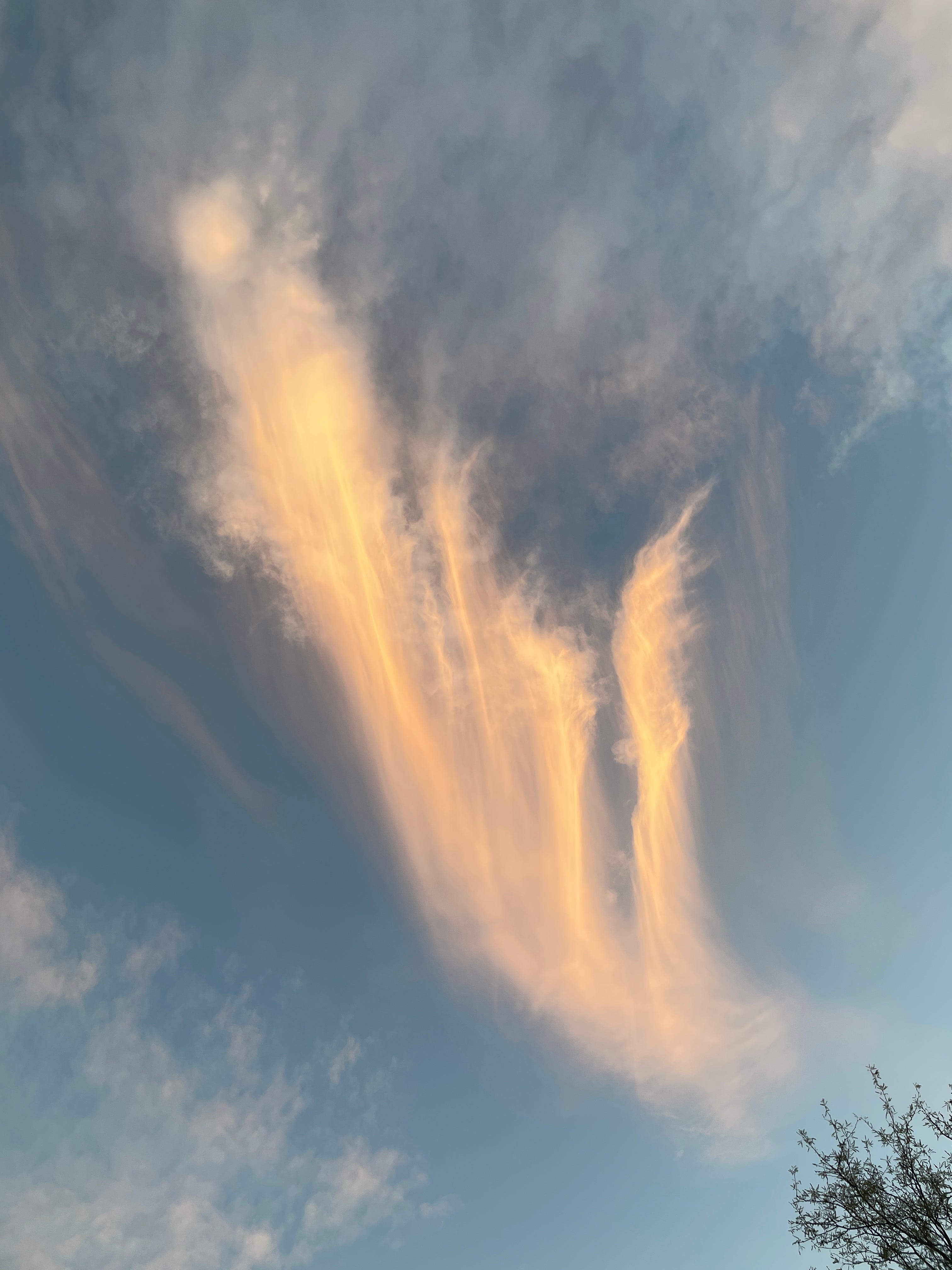 Lemon's Garden | Substack