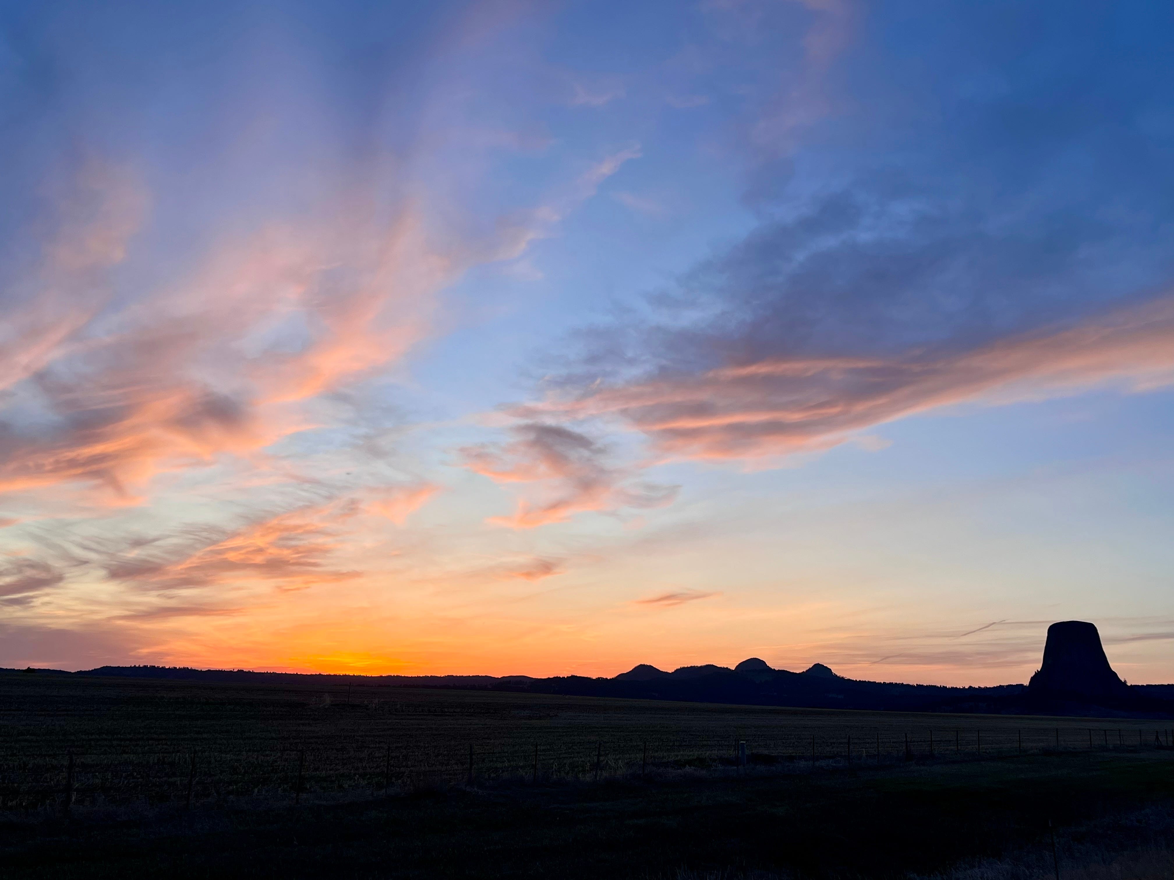 2024 Northern Migration + Devils Tower - by Deb Sinness
