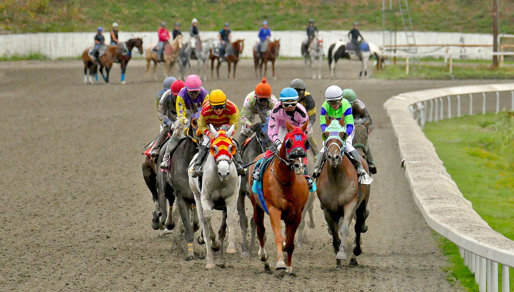 Hastings' Weekly Winter Round-Up - by Nigel Reid