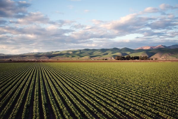 Farmland ETFs: The Perfect Portfolio Diversifier?