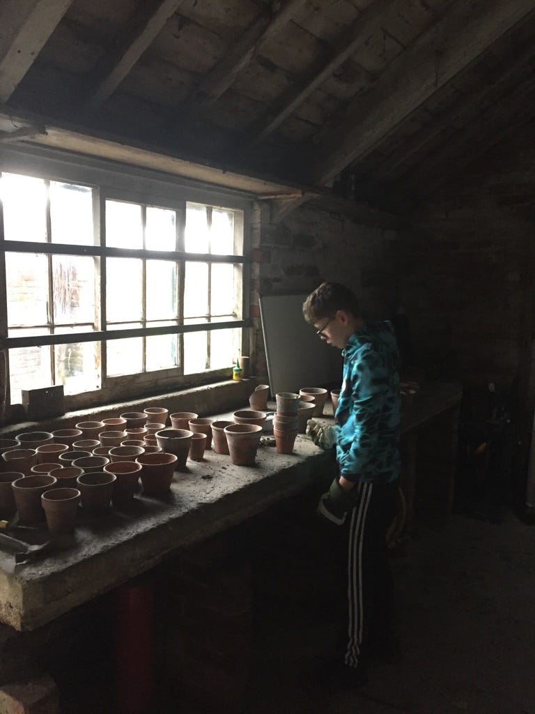 The Potting Shed - by Caroline Beck - DIRT