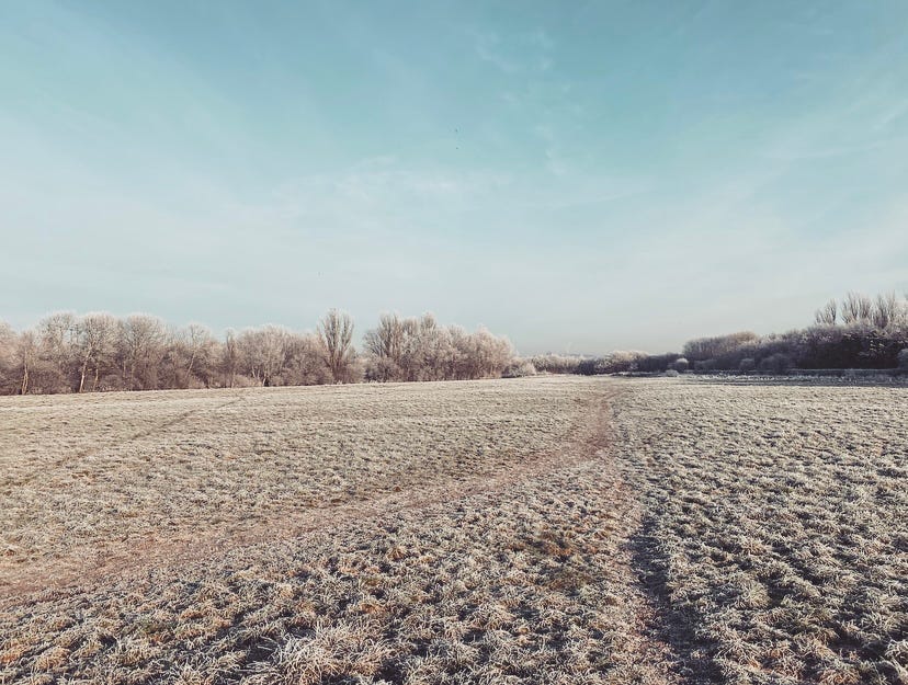 New Years, New Beginnings and Starting Somewhere