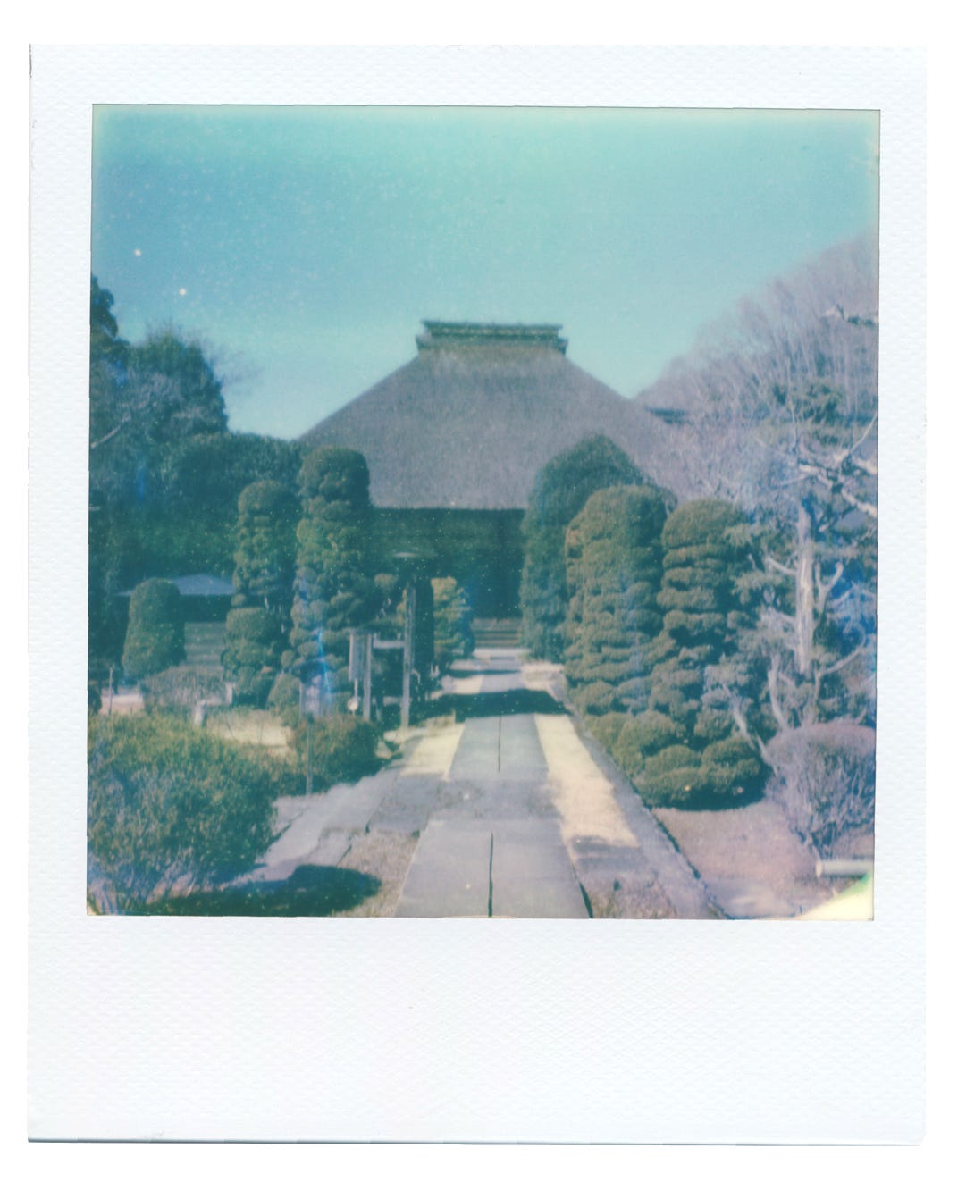 Prelude - by Aki & Cole Norton - Norton’s Substack