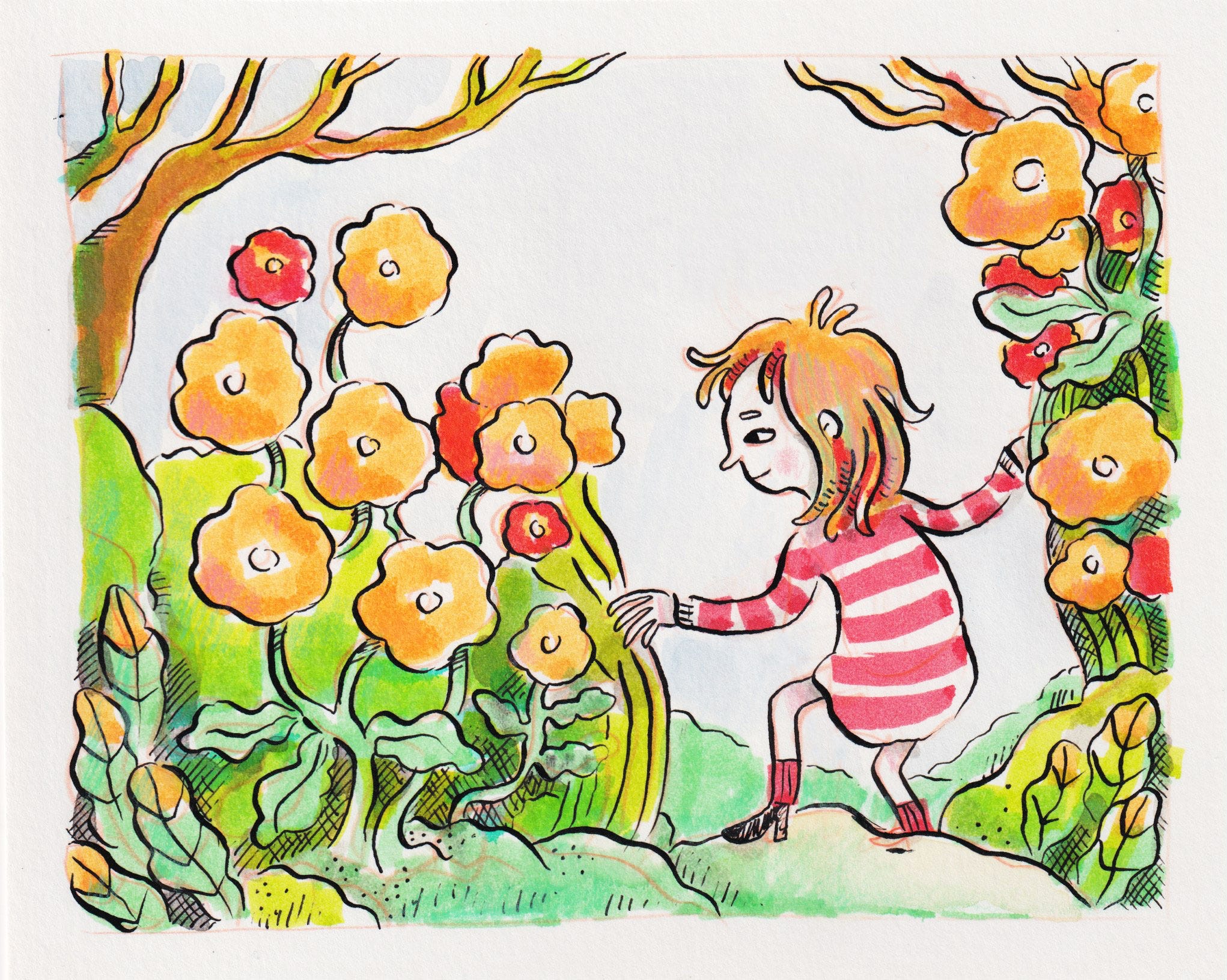 Chaotic beginnings - by Claire Robertson - Loobylu