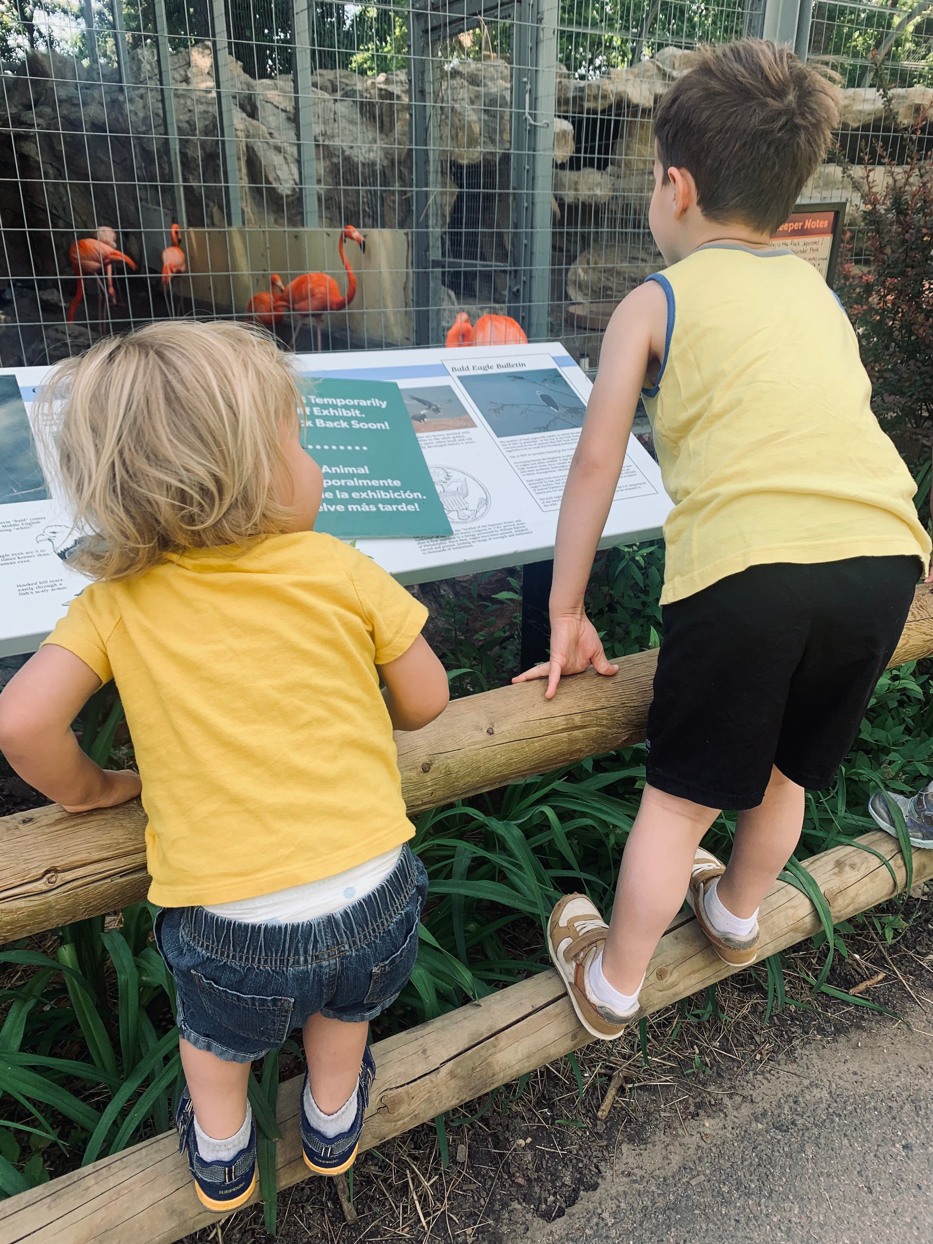 The Good Life - by Wendy Mengel - Wendy’s Substack