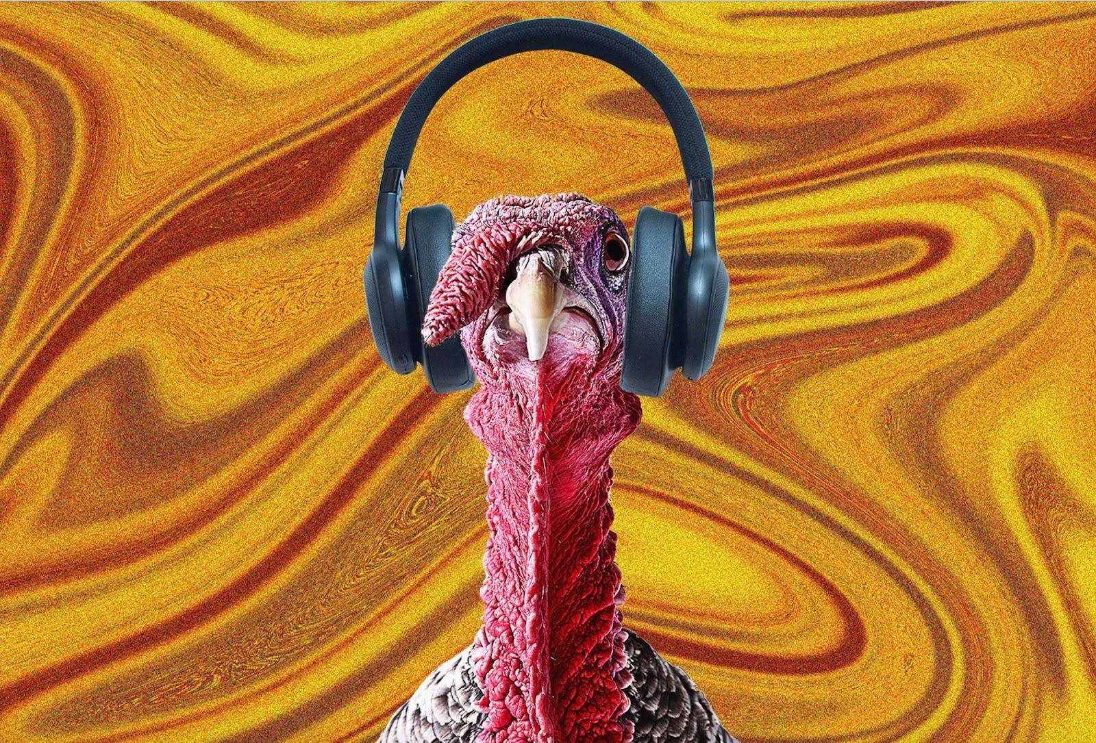 Takeout, Anyone? - by Rachel Baker and Maggie Bullock