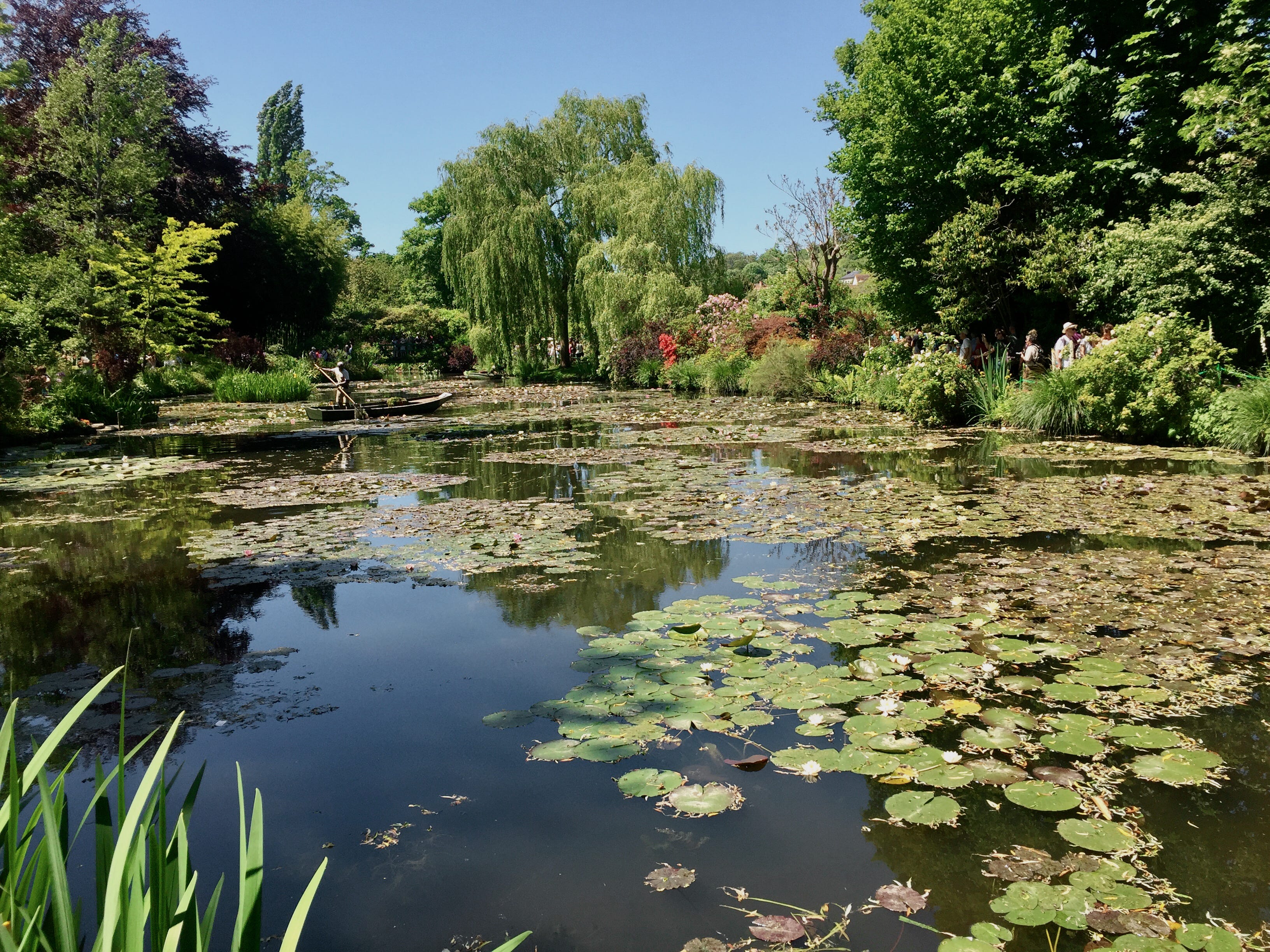 so... I've started a substack - by Hannah Martin