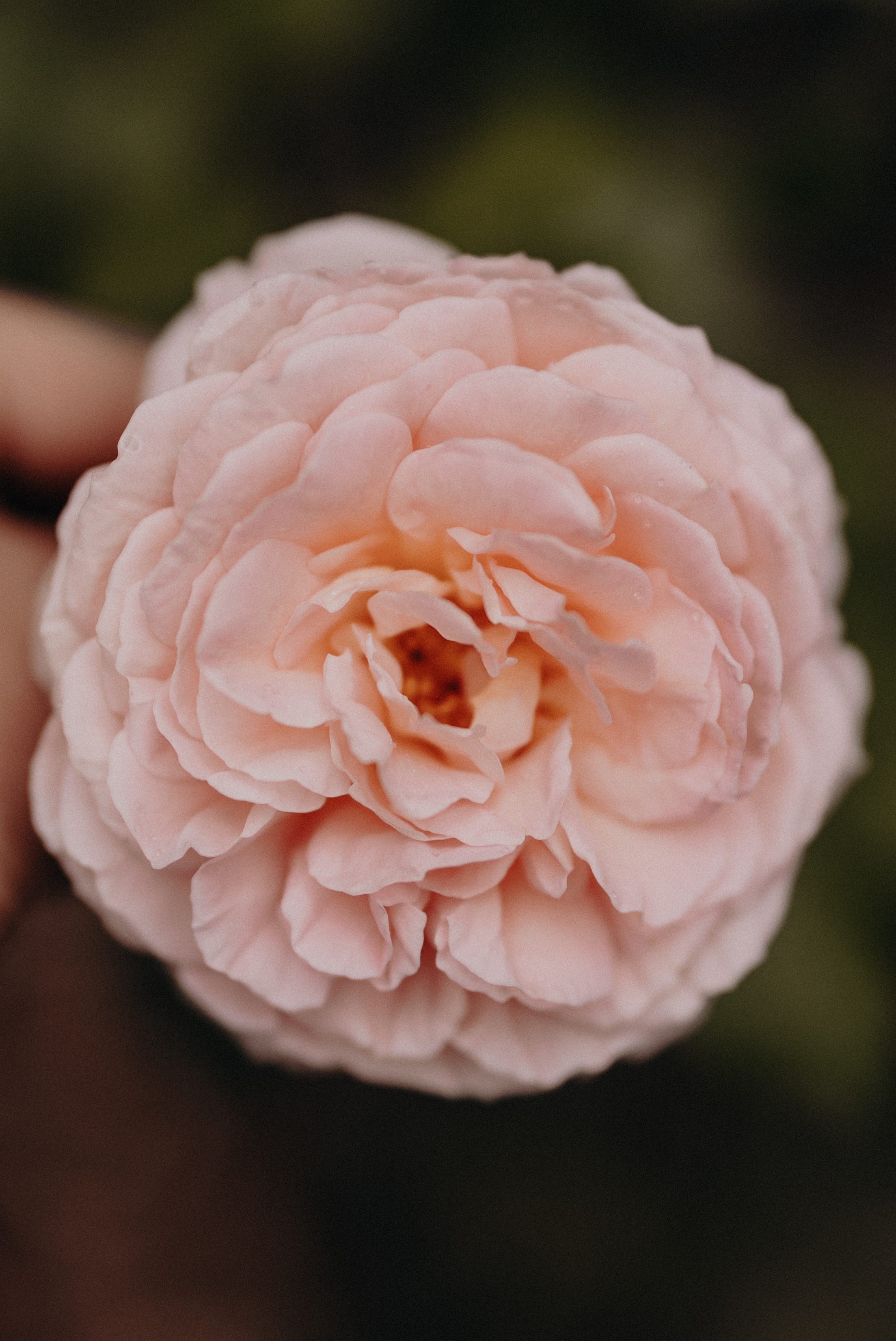 About - A Life of Less with Claudia Wilde