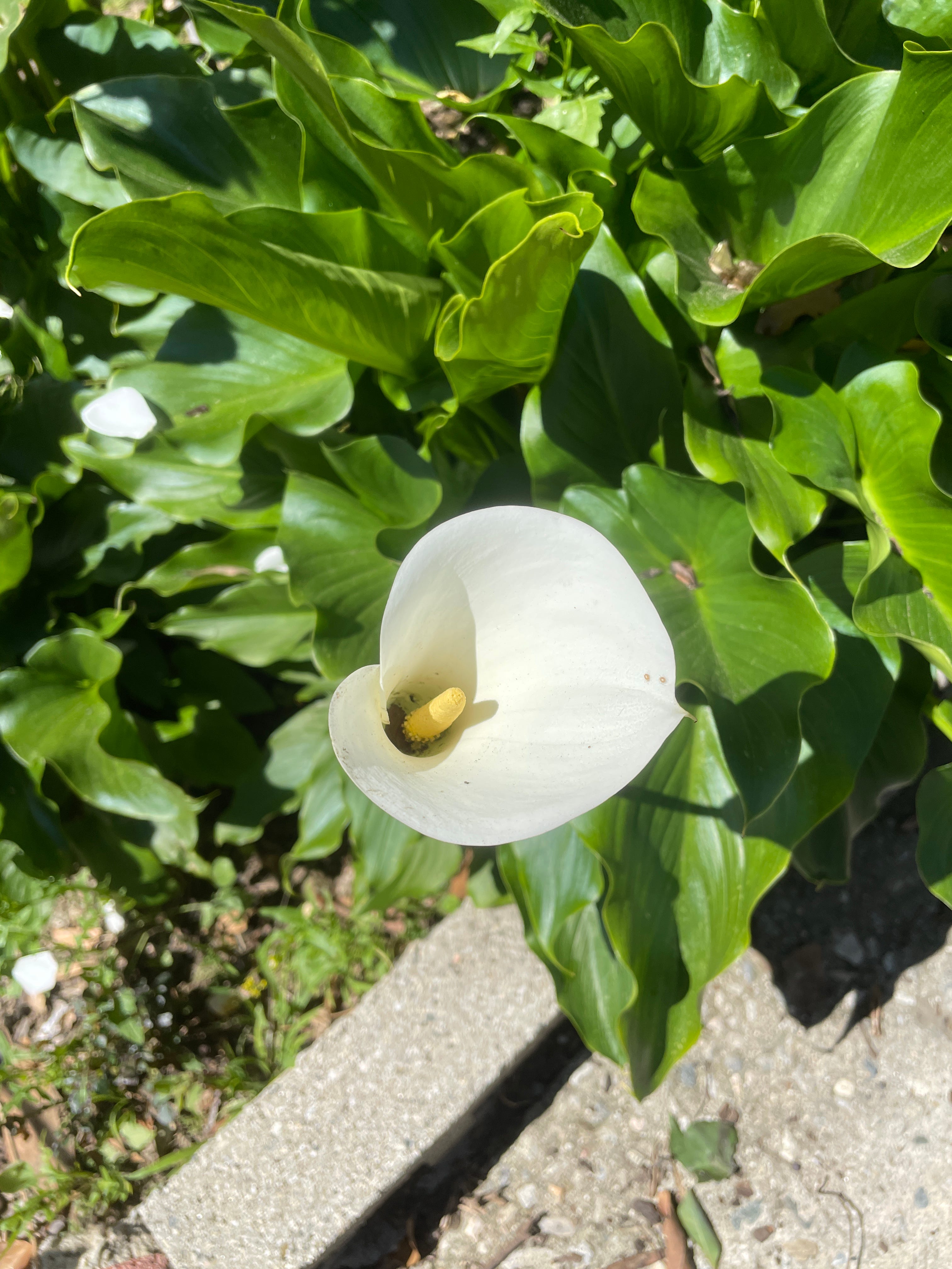 some lessons learned - by Ev'Yan Whitney