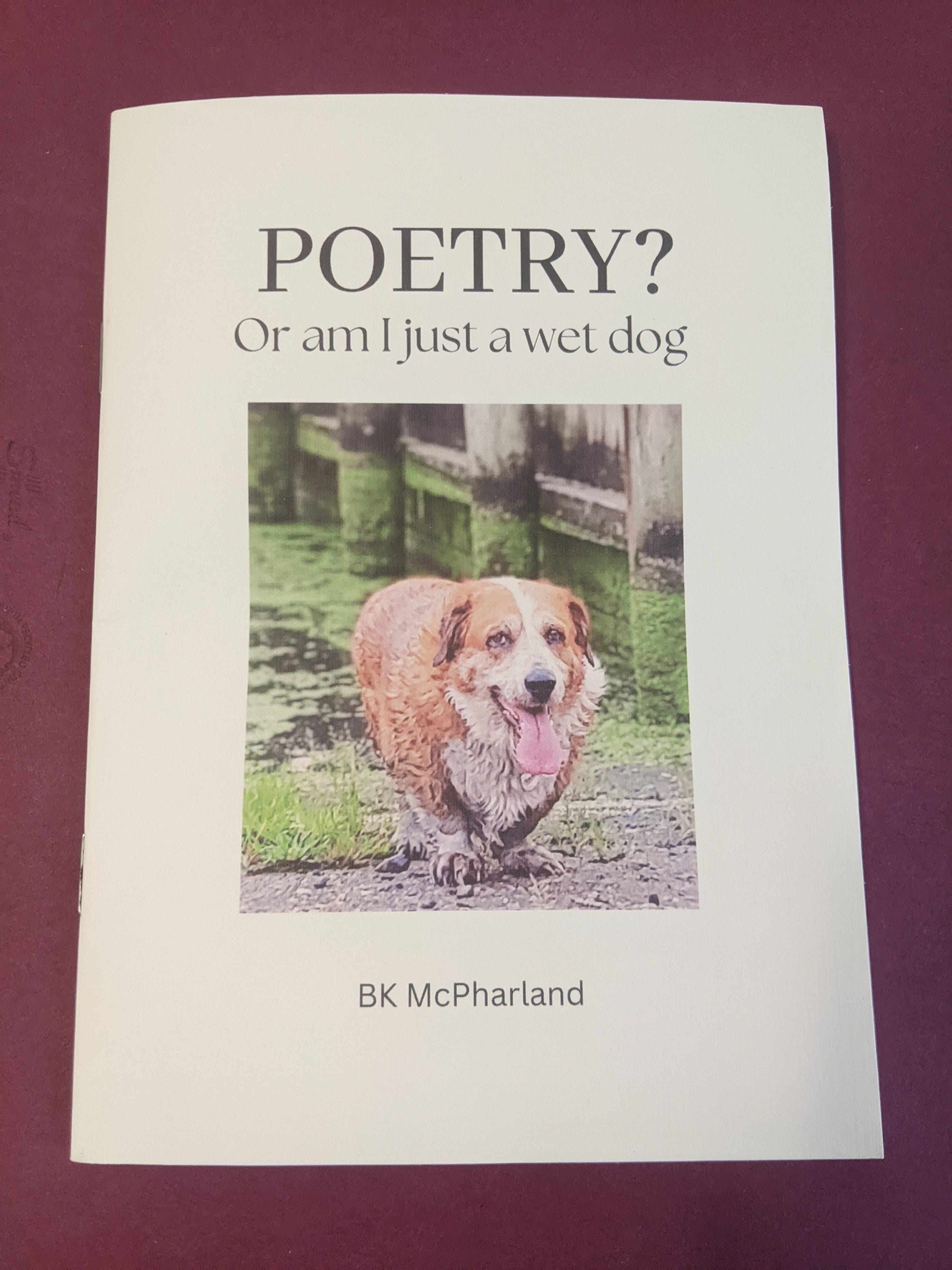 Did I mention.... - by BarkingTreesBite