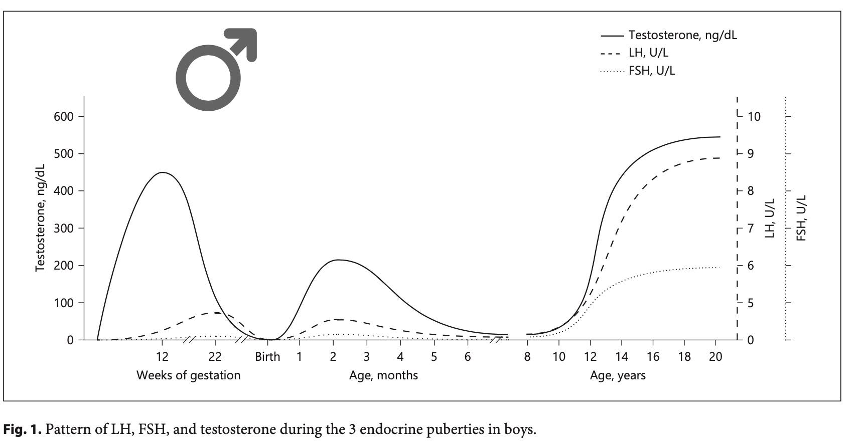 No such thing as the wrong puberty