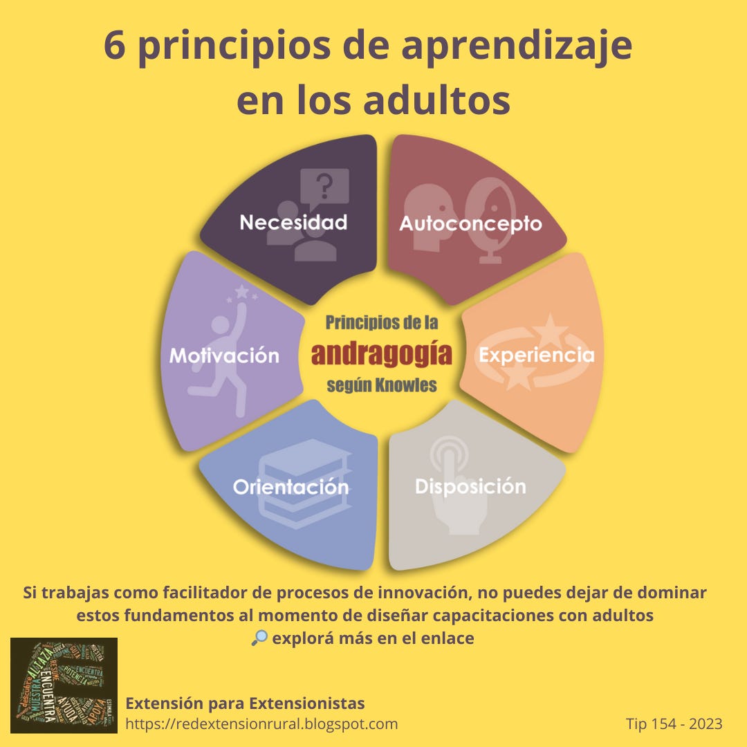 6 principios de aprendizaje en los adultos