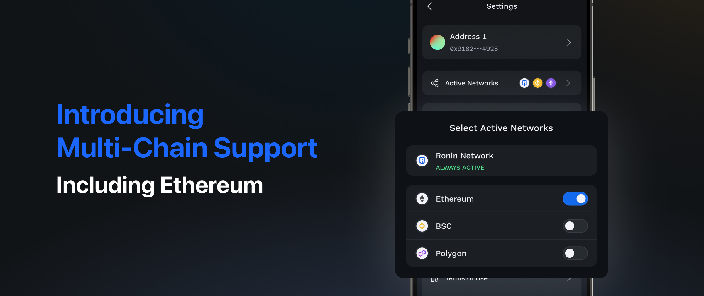 The 2024 Ronin Wallet Glow Up - Ronin’s Newsletter