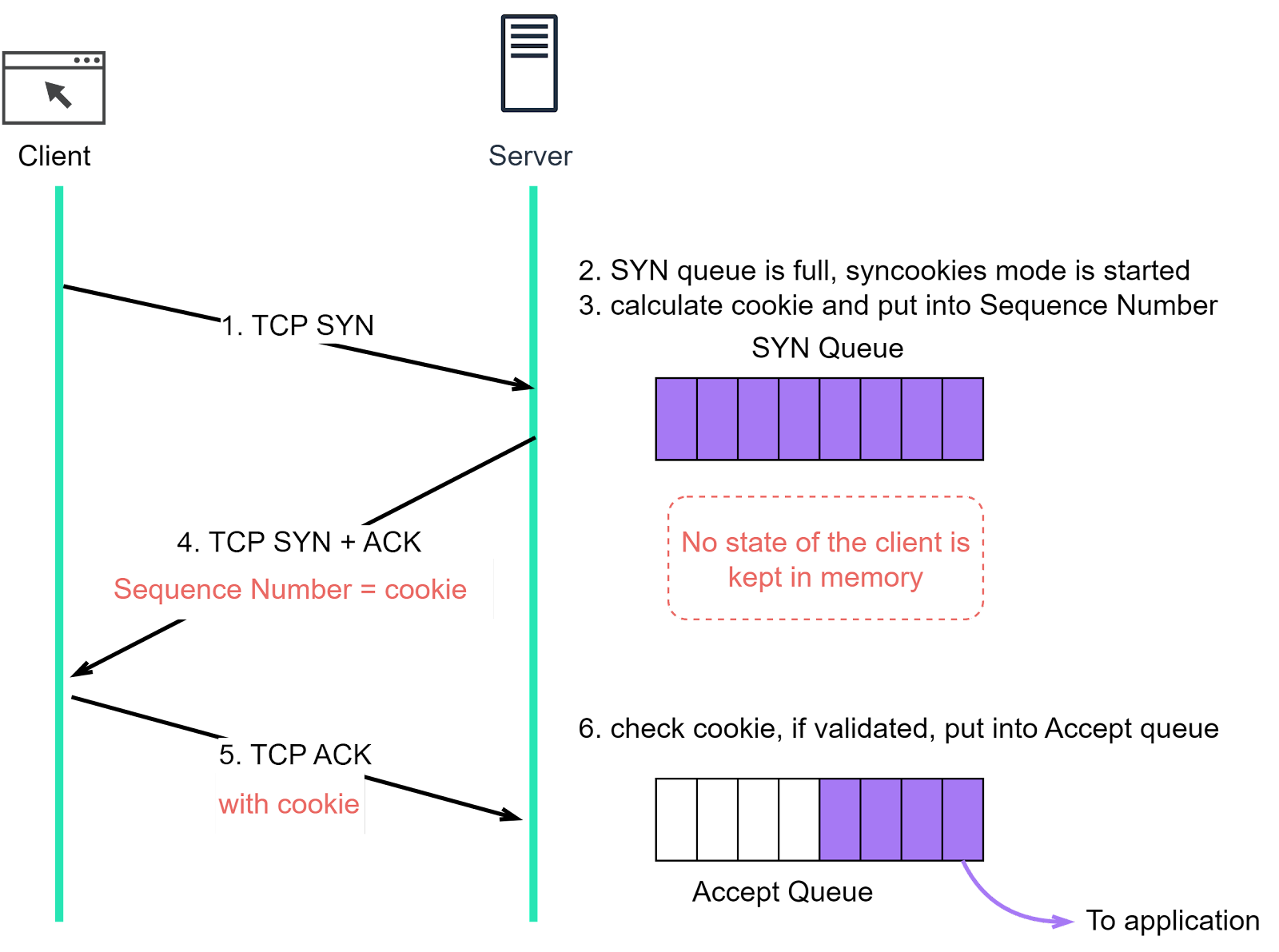 Everything You Always Wanted to Know About TCP But Too Afraid to Ask