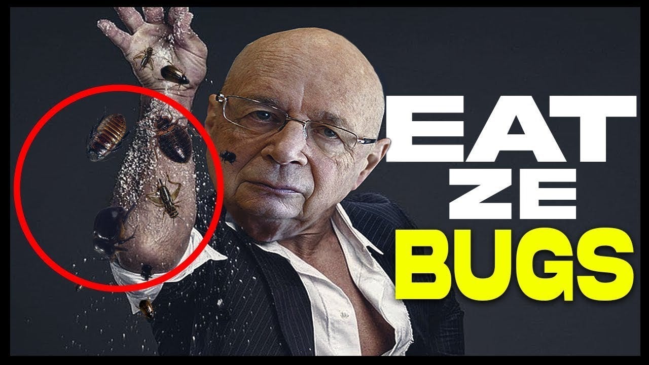 Major Meat Producer Tyson Invests in Insect Proteins and Lipids 🪳