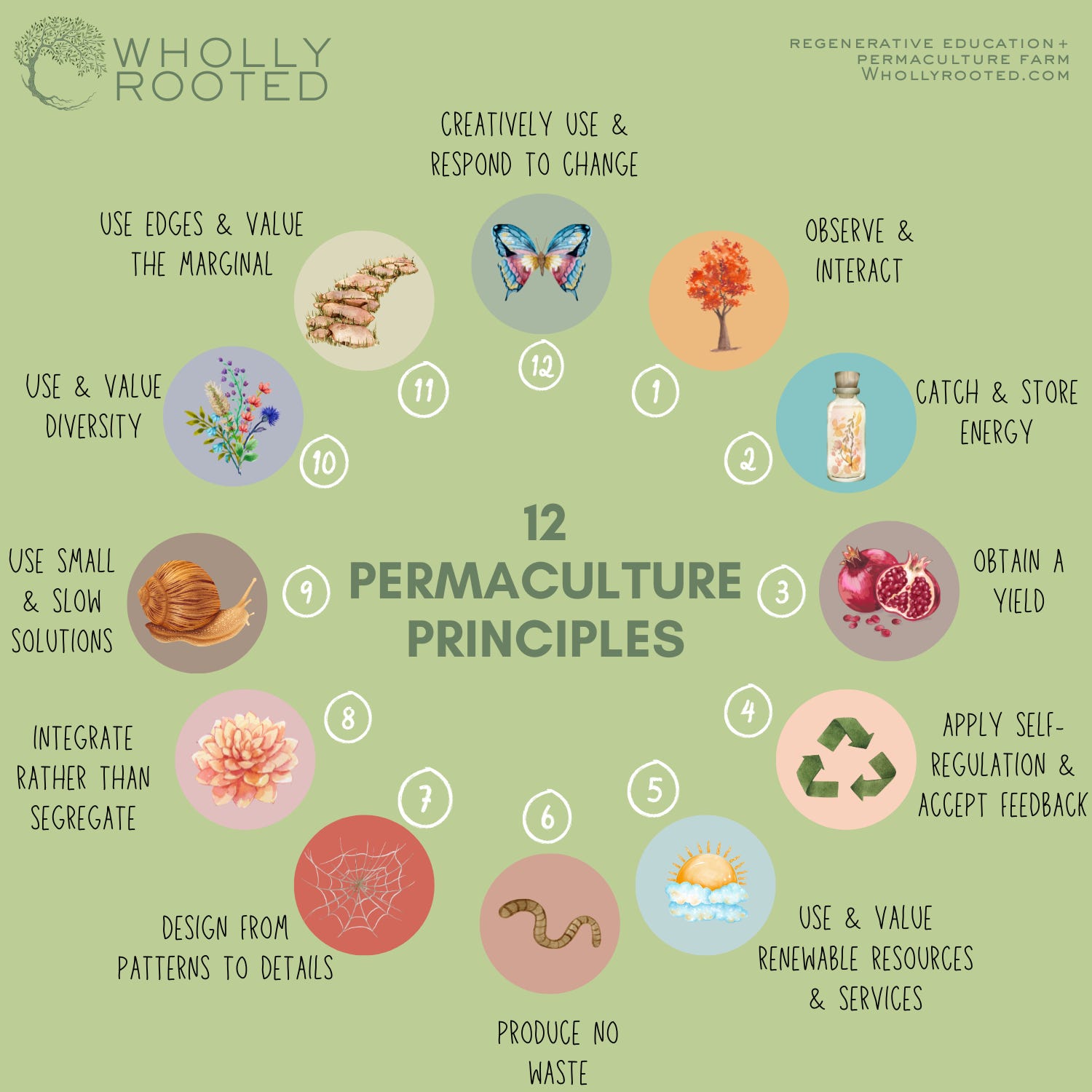 Permaculture Beyond Food Forests: Weaving the 12 Principles into Daily Life