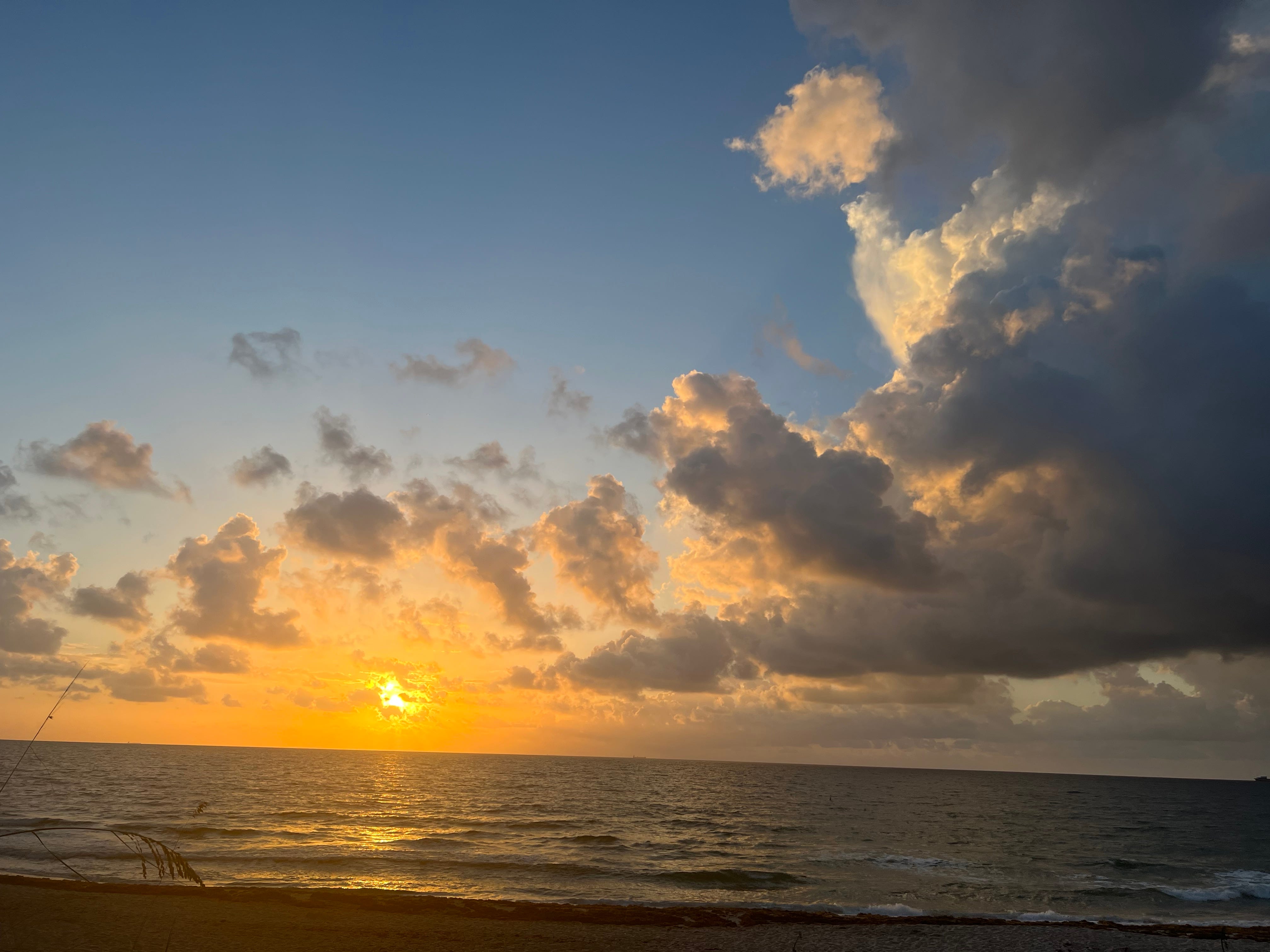 Who Are You? - by Deborah Demander - Transform Your Life