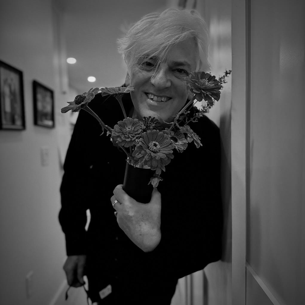 Robyn Hitchcock | Substack